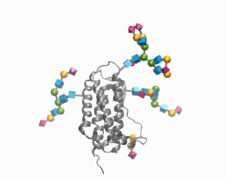 Lectenz Bio – Enabling glycan biomarker detection & analysis